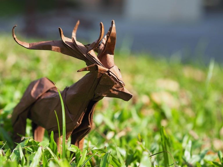The Best Origami Animals of 2018