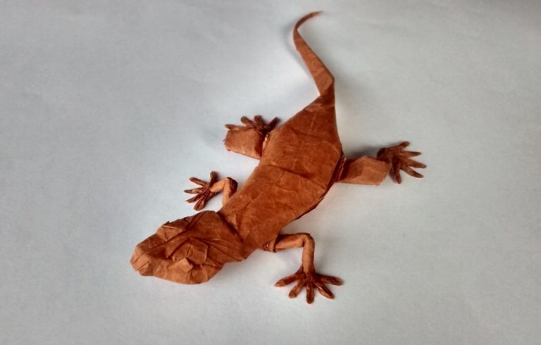 The Best Origami Reptiles and Amphibians of 2018