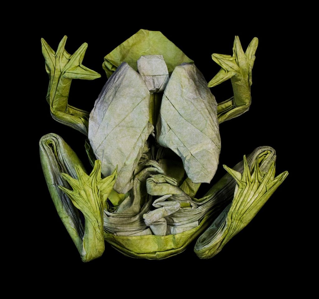 The Best Origami Reptiles and Amphibians of 2018