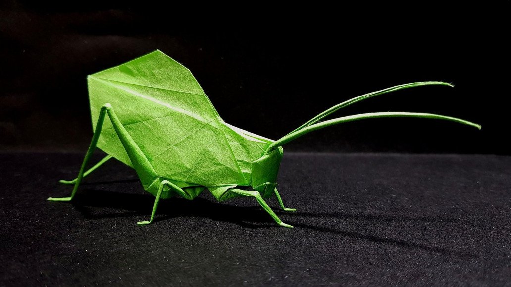Posts About Origami Insects