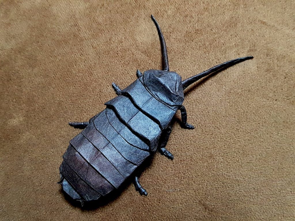 The Best Origami Insects of 2018