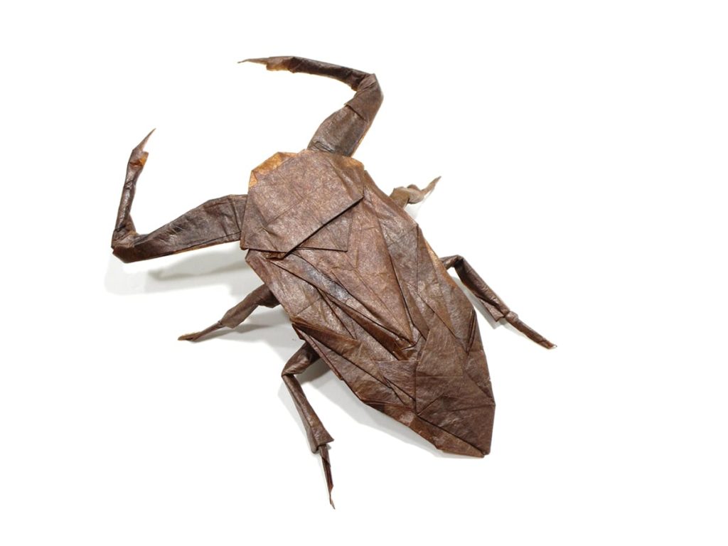 The Best Origami Insects of 2018