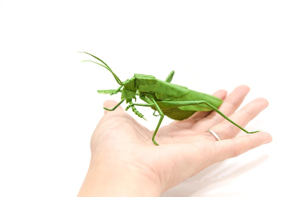 The Best Origami Insects of 2018