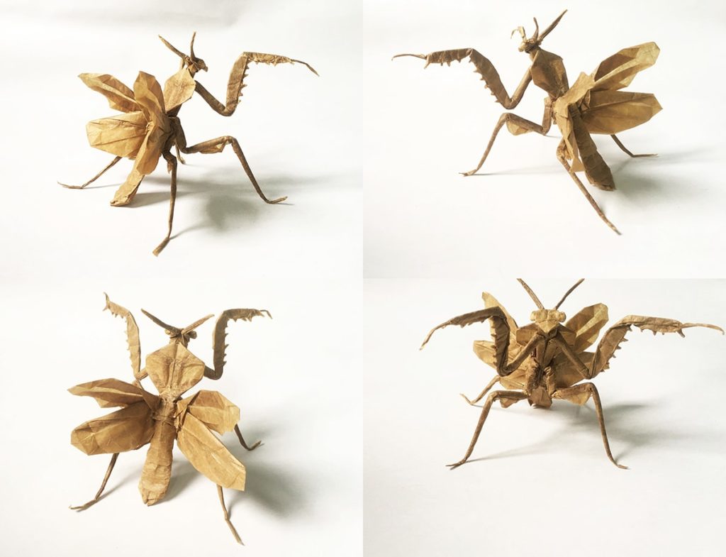 The Best Origami Insects of 2018