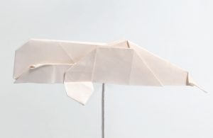 Marine Origami by Joseph Hwang Book Review