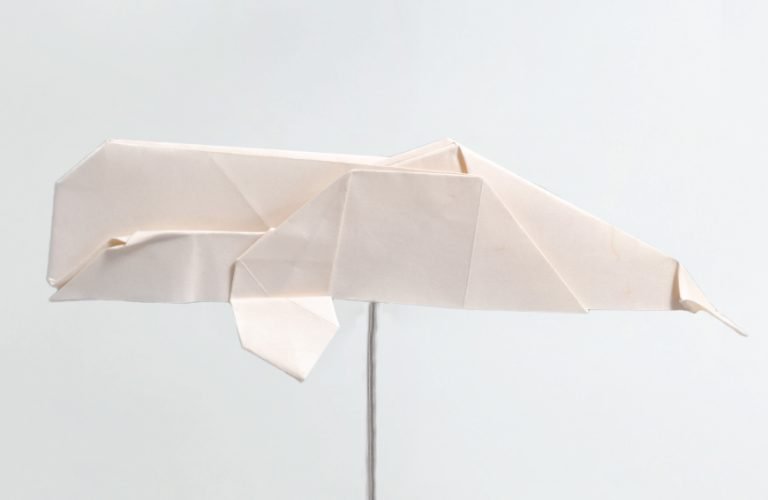 Marine Origami by Joseph Hwang Book Review