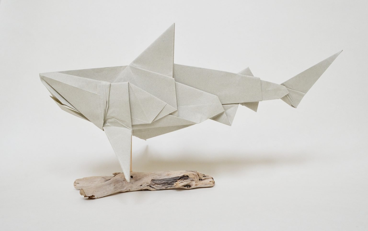 Discover the Art of Origami: Learn, Fold, Create!
