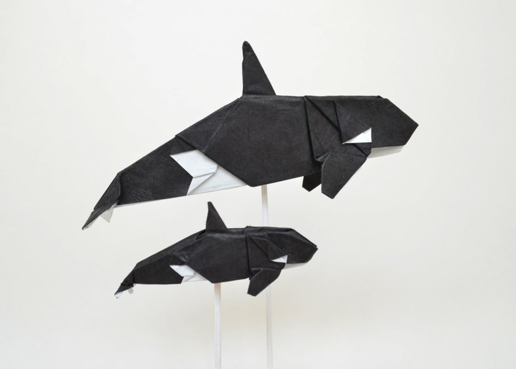 Marine Origami by Joseph Hwang Book Review