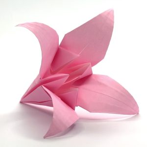 How to Fold an Origami Lily 🌷 Step-by-Step Instructions