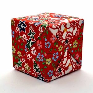 How to Fold an Origami Cube 🧊 Step-by-Step Instructions