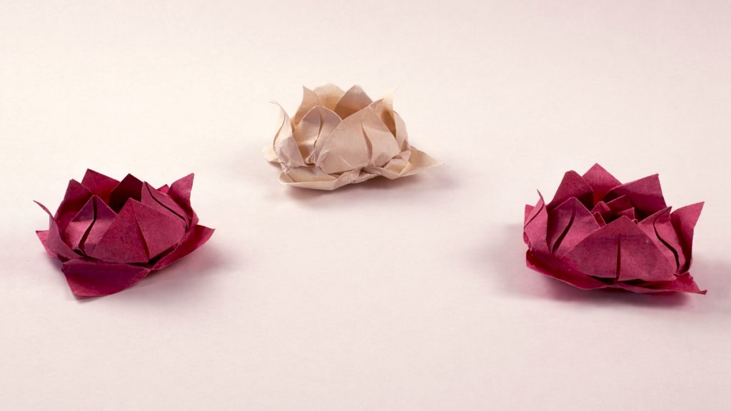 How to Fold an Origami Lotus 🪷 Step-by-Step Instructions