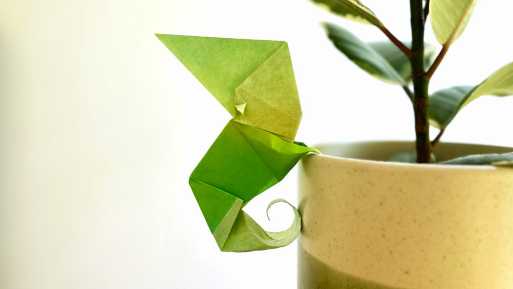 How to Fold an Origami Heart Card: Step-by-Step Instructions